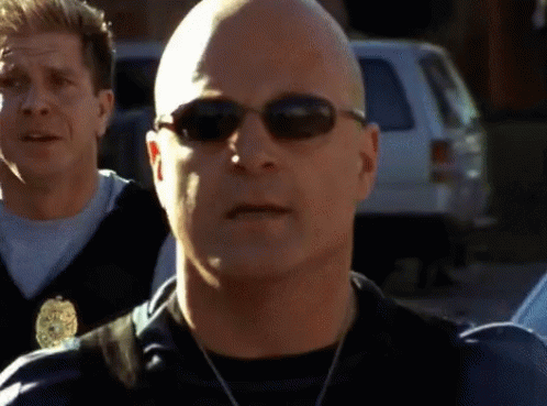 UPLOAD.EE - police.gif - Download