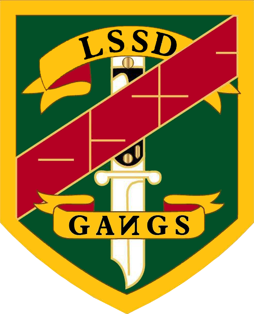 OPERATION SAFE STREETS BUREAU