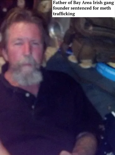 Family Affiliated Irish Mafia - Archiwum - Vibe Roleplay